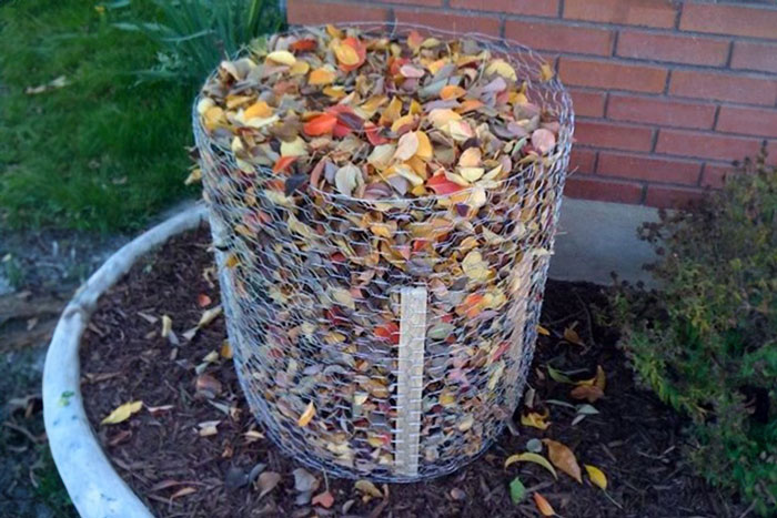 Winter Plant Protection - While nature is concerned with the survival ...