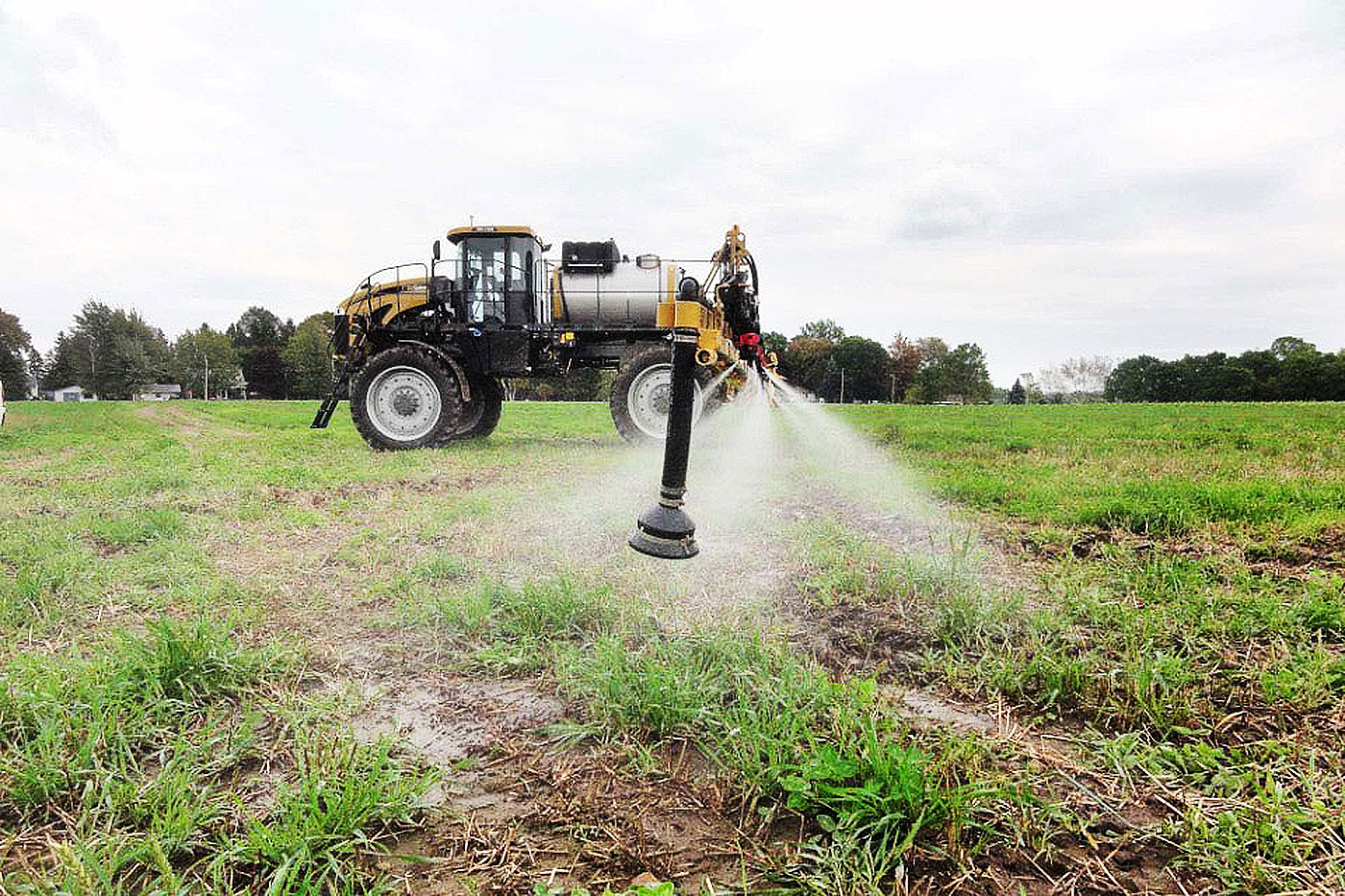 Three HOT Topics in Weed Management for 2022 // Integrated Crop and ...