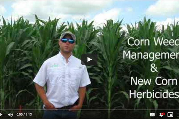 2020 Mizzou Weed Science Virtual Field Day Video 4: Corn Weed ...