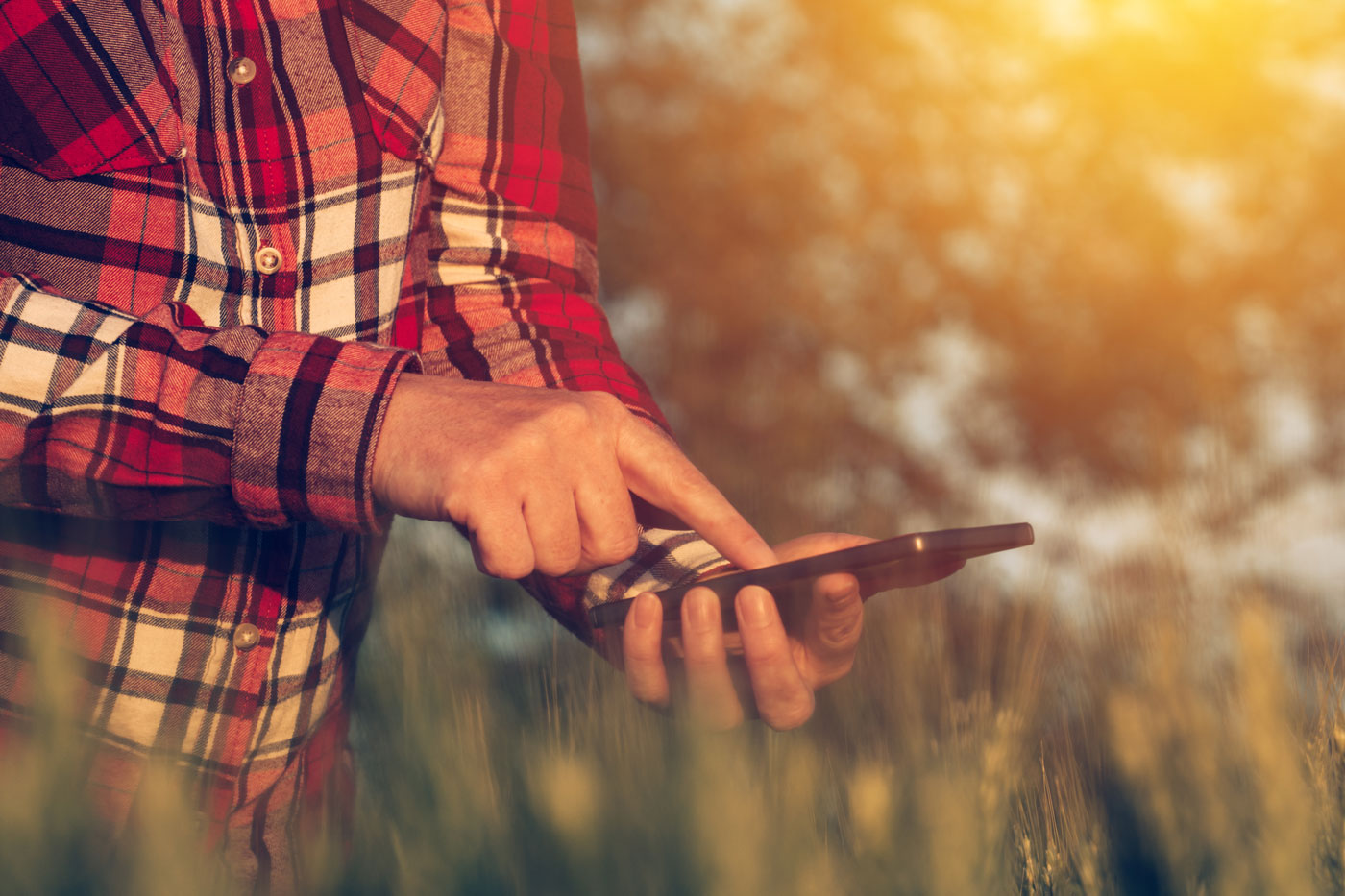 Text alert system launched - Sign up to receive Mizzou Crop & Pest text ...