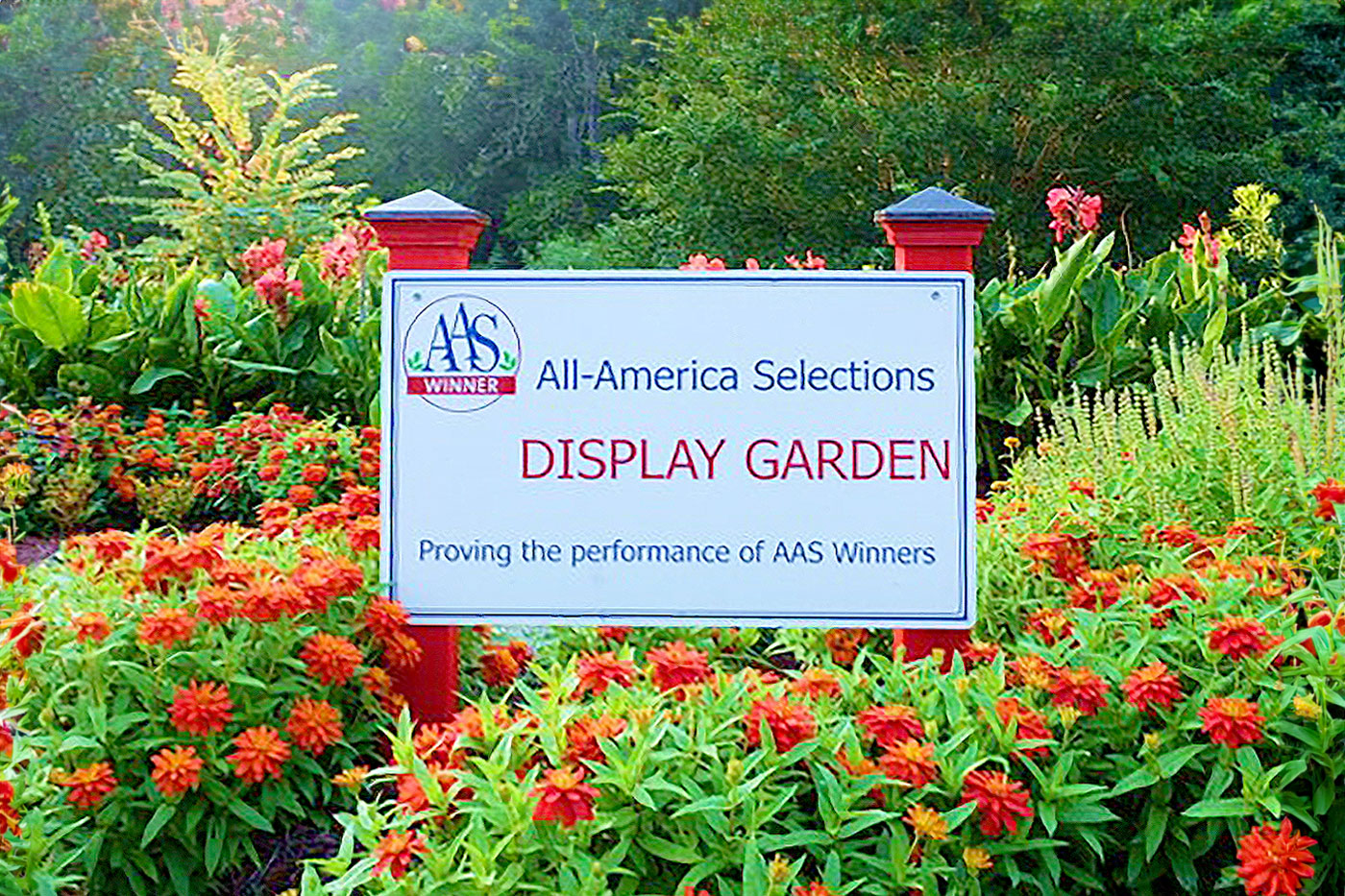 2024 All-American Program Selections - The All-American designation is ...