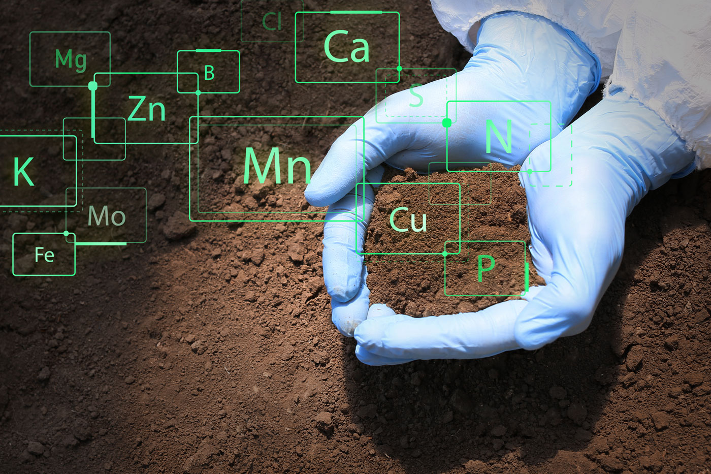 Selecting a Good Topsoil for Lawns and Gardens - Quality topsoil is the ...