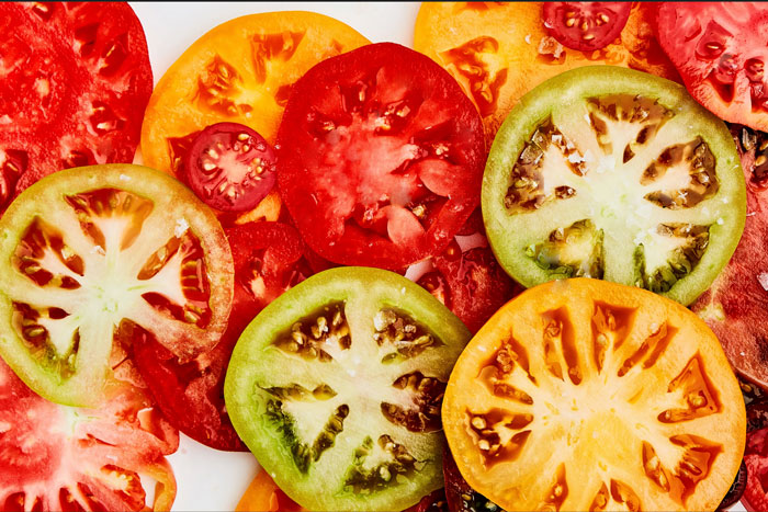 Tomato Tissue Sampling for Optimum Fertility Management // Missouri ...